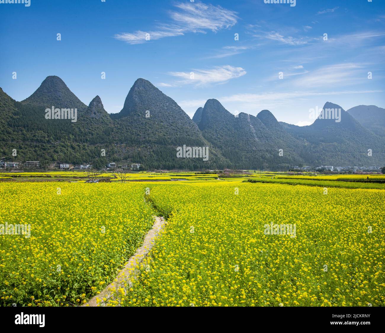 Guizhou xingyi upon hoodoo overlook field below Stock Photo - Alamy