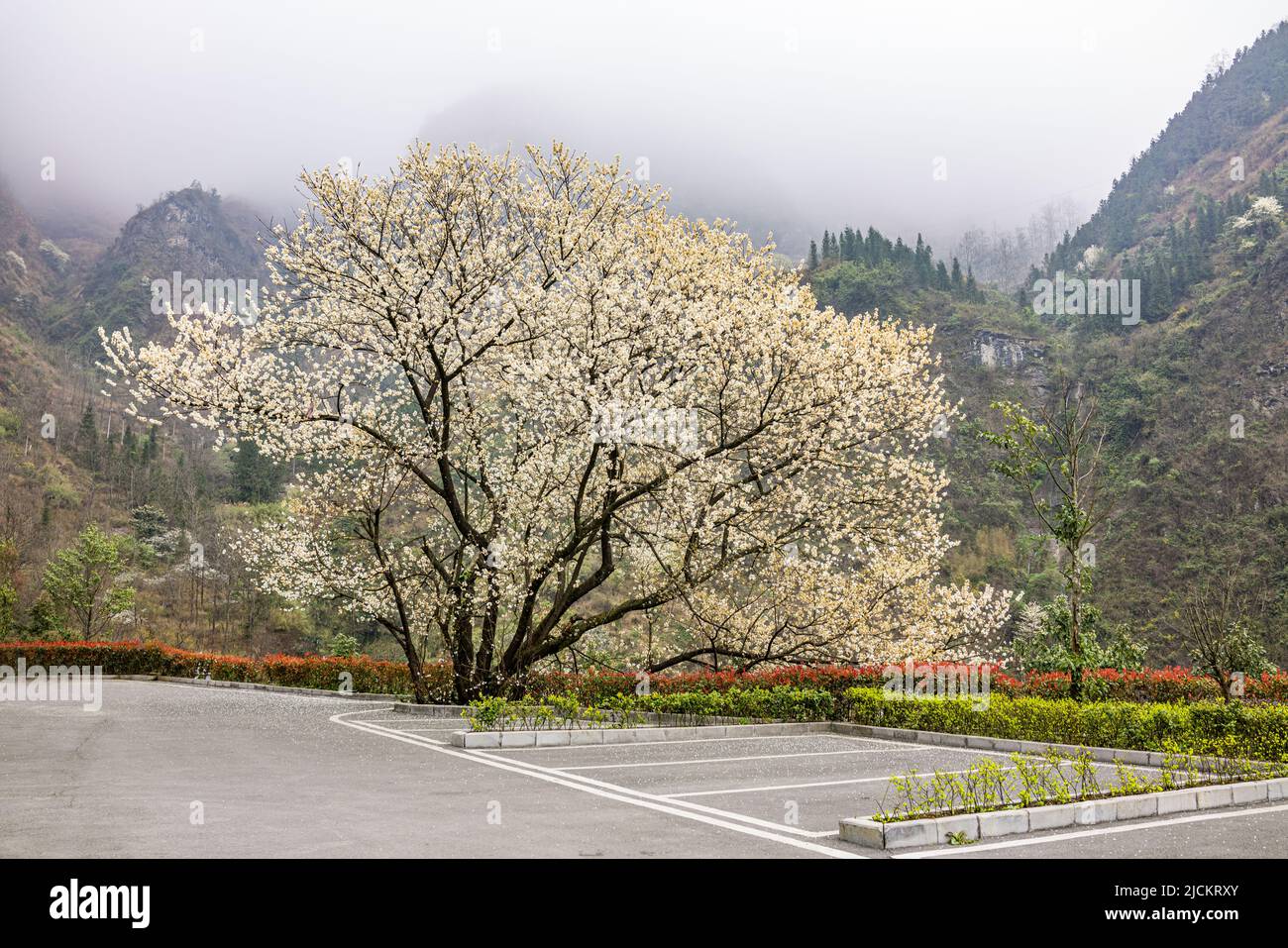 24 turn off hi-res stock photography and images - Alamy
