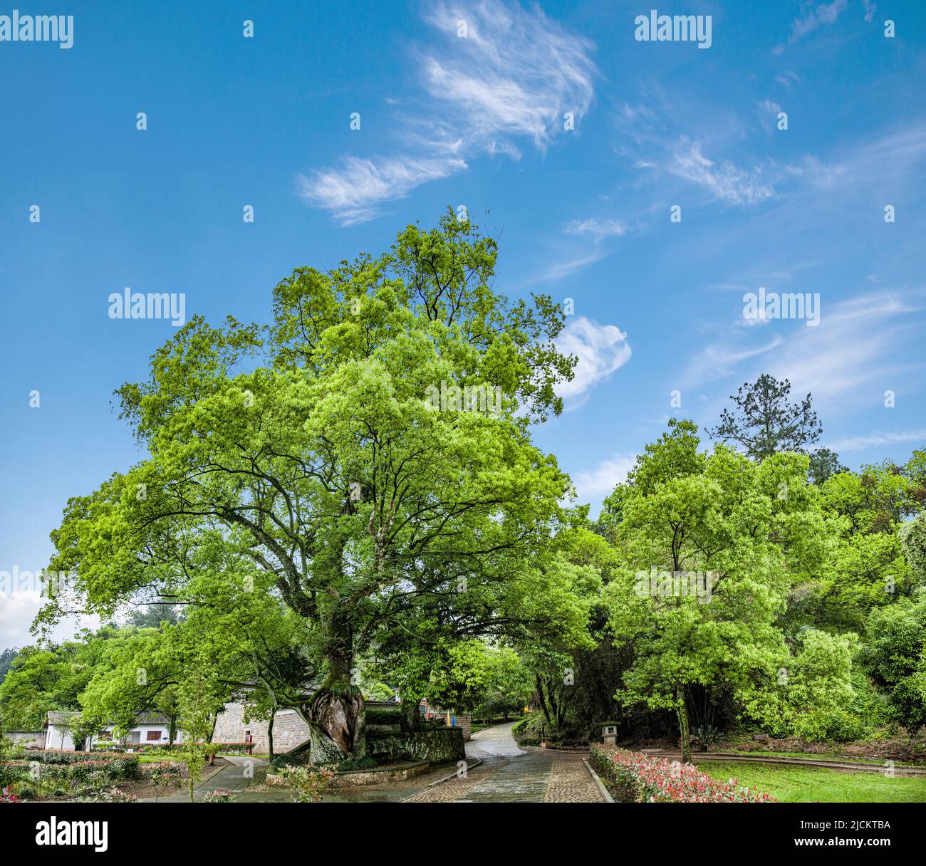 Yingtan city, jiangxi province, the dragon in qing dynasty palace ...