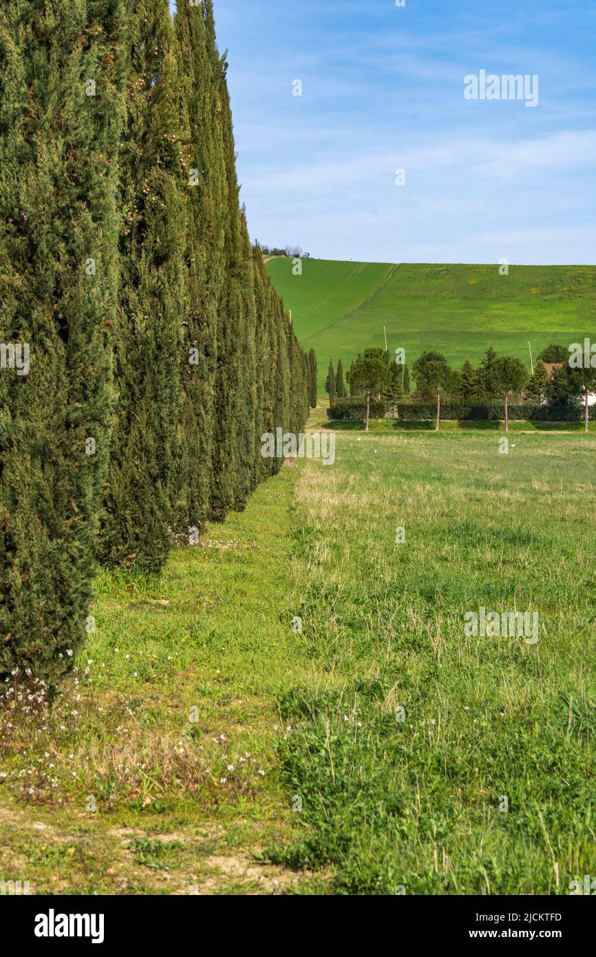 Treia hi-res stock photography and images - Alamy