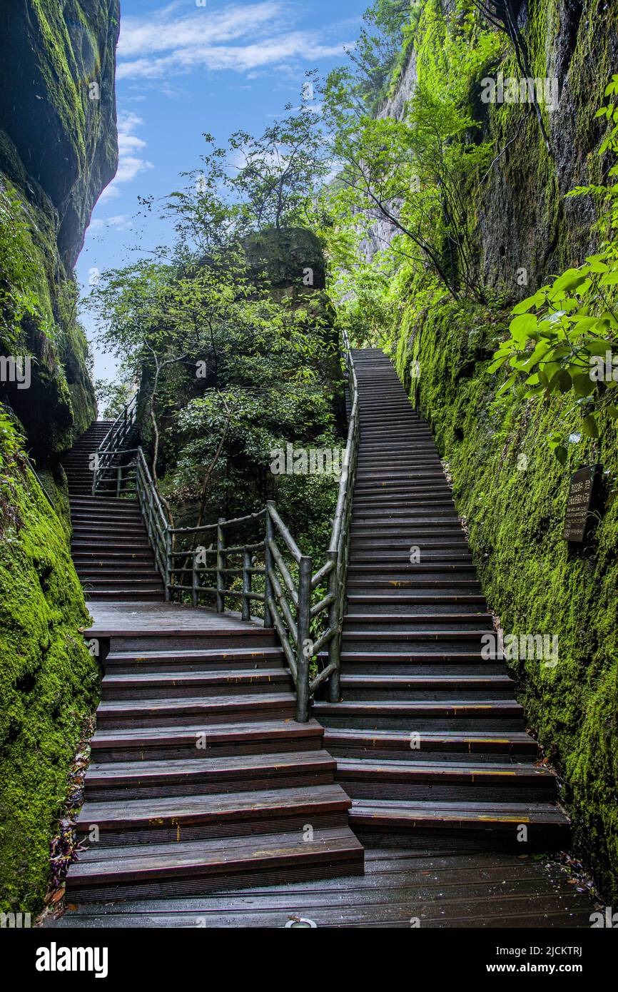 Plank lane hi-res stock photography and images - Alamy