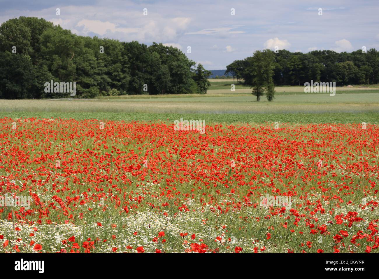 Cross country routes hi-res stock photography and images - Alamy