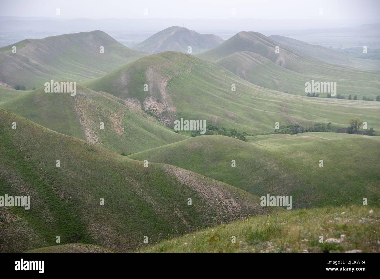 A pattern of mountains, hills covered with green grass, fog. Spring ...