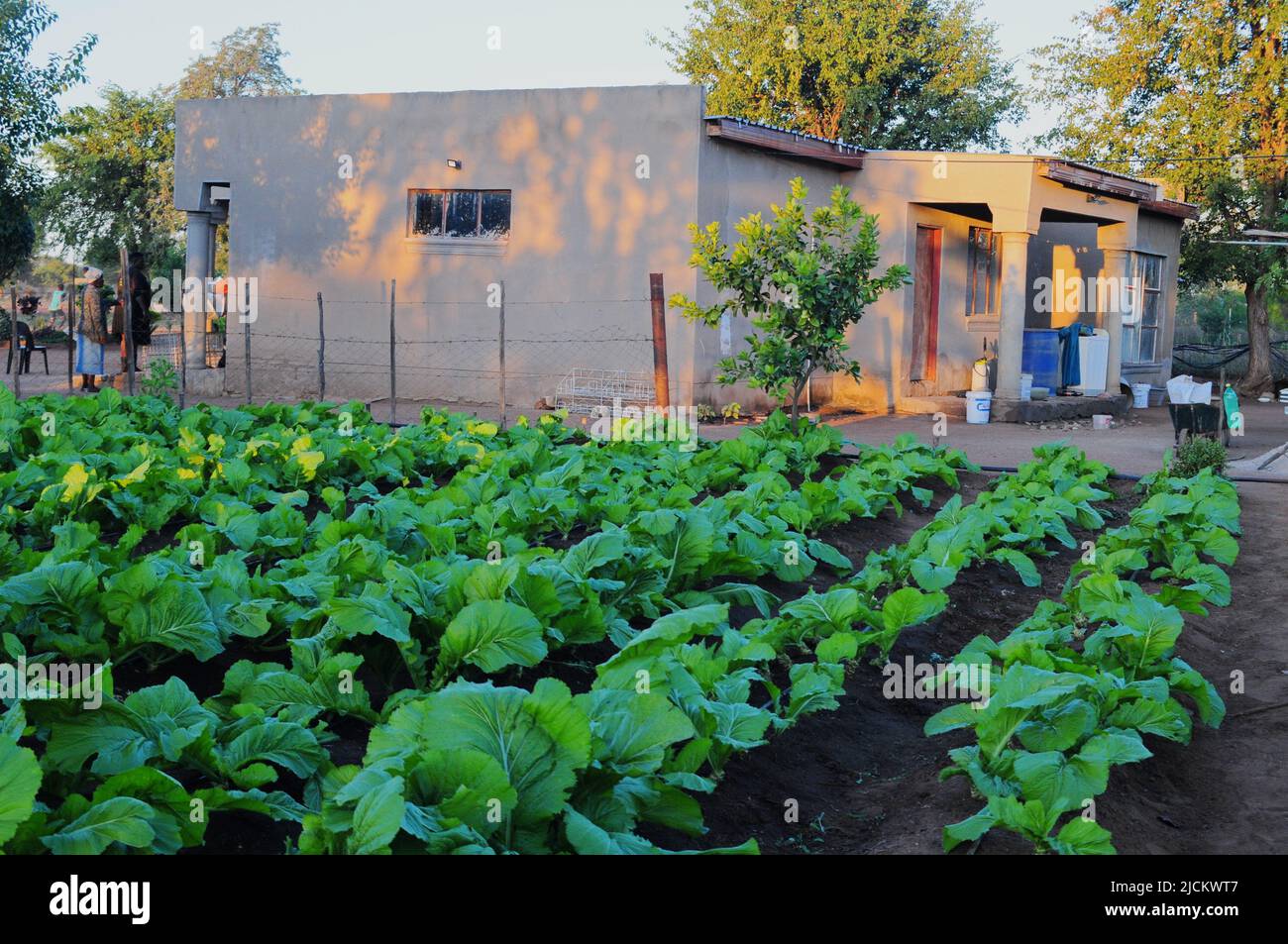 Women in rural South Africa apply agroecology methods to develop ...