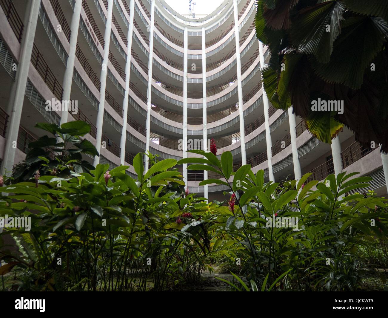 Exterior of an oval building with small area for plant and flowers ...