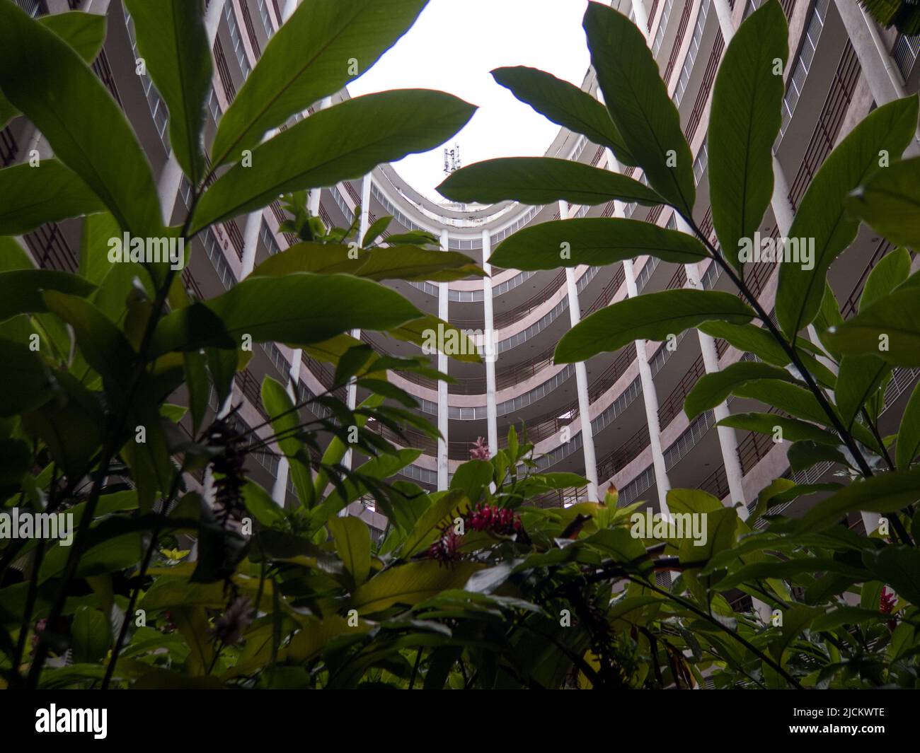 Exterior of an oval building with small area for plant and flowers ...
