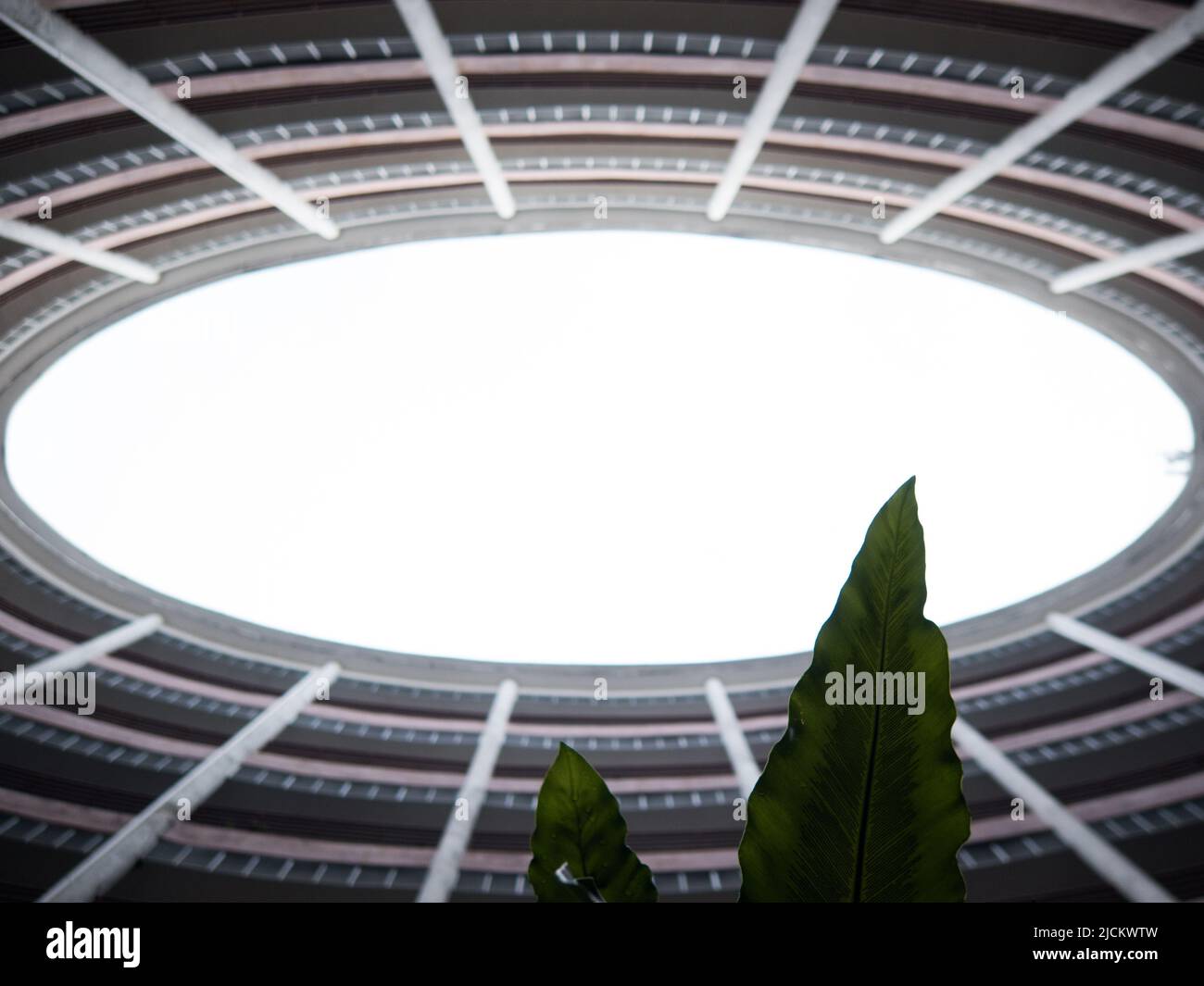 Exterior of an oval building with small area for plant and flowers ...