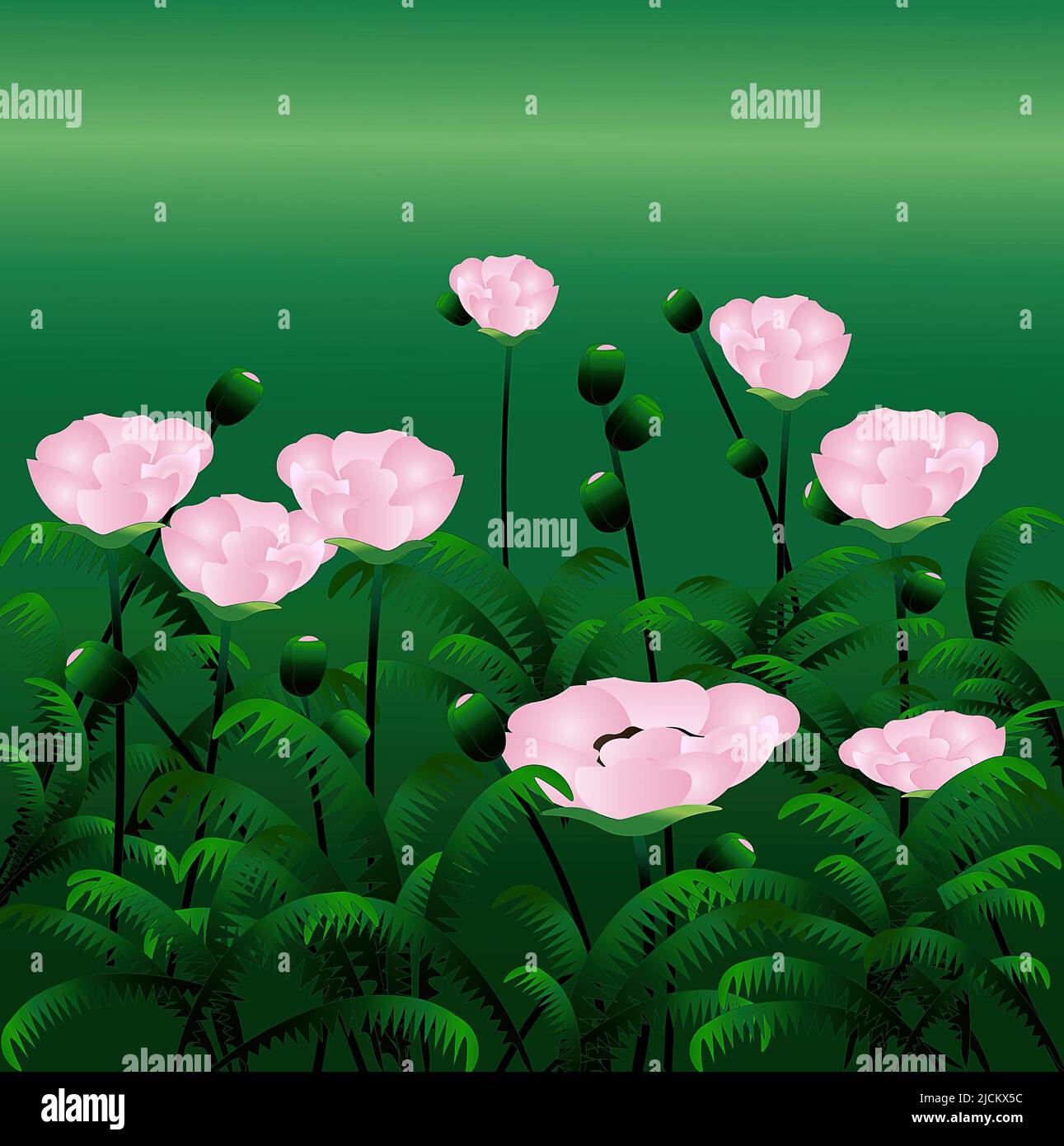 Lush poppy hi-res stock photography and images - Alamy