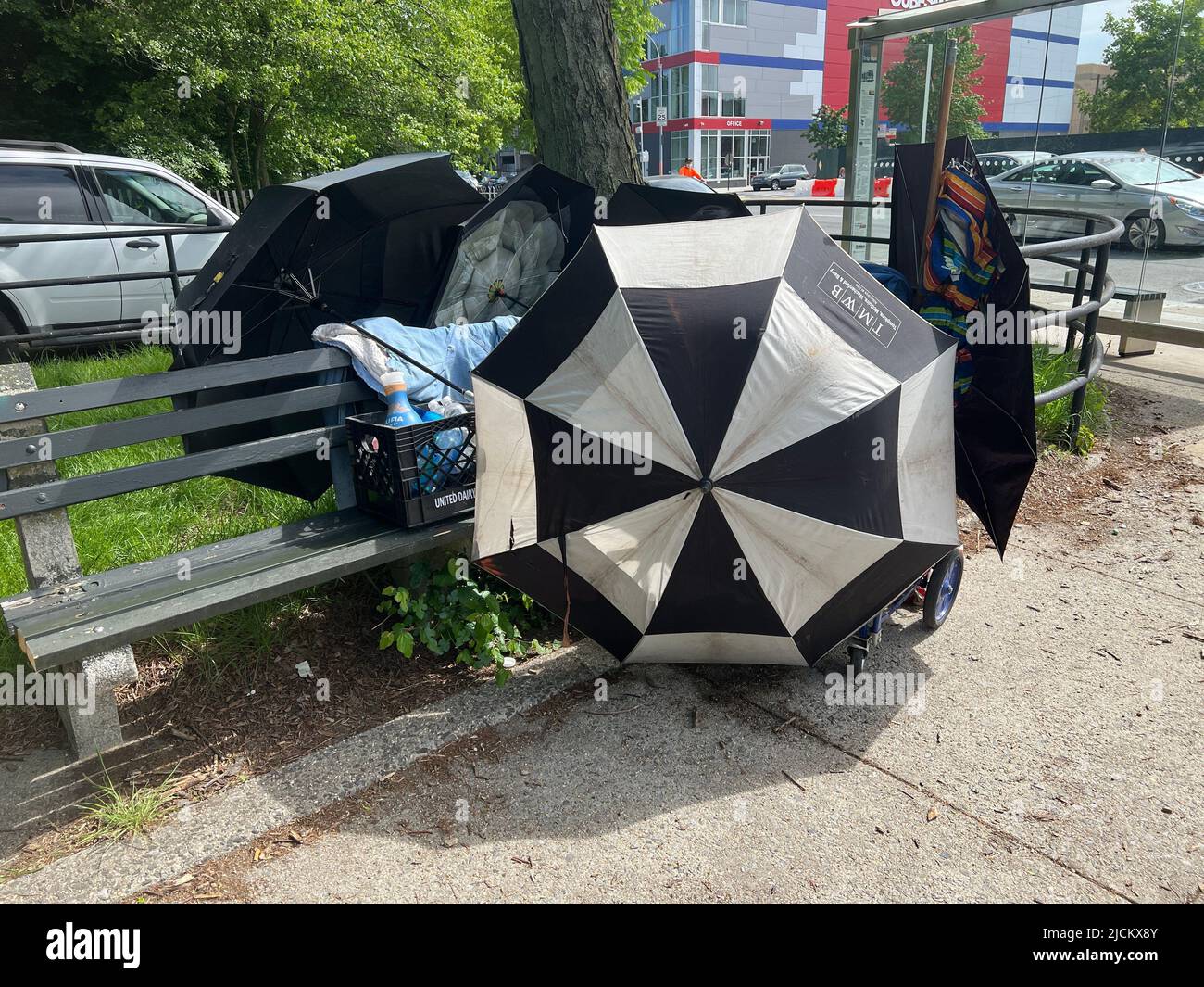 Homeless innovative architecture built with umbrellas along a bench ...