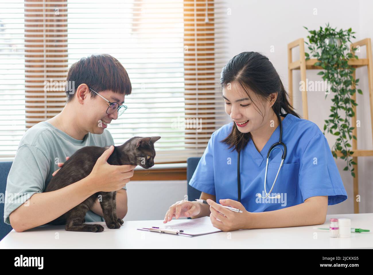 Pet care concept, Female veterinary examining the cat and writing ...