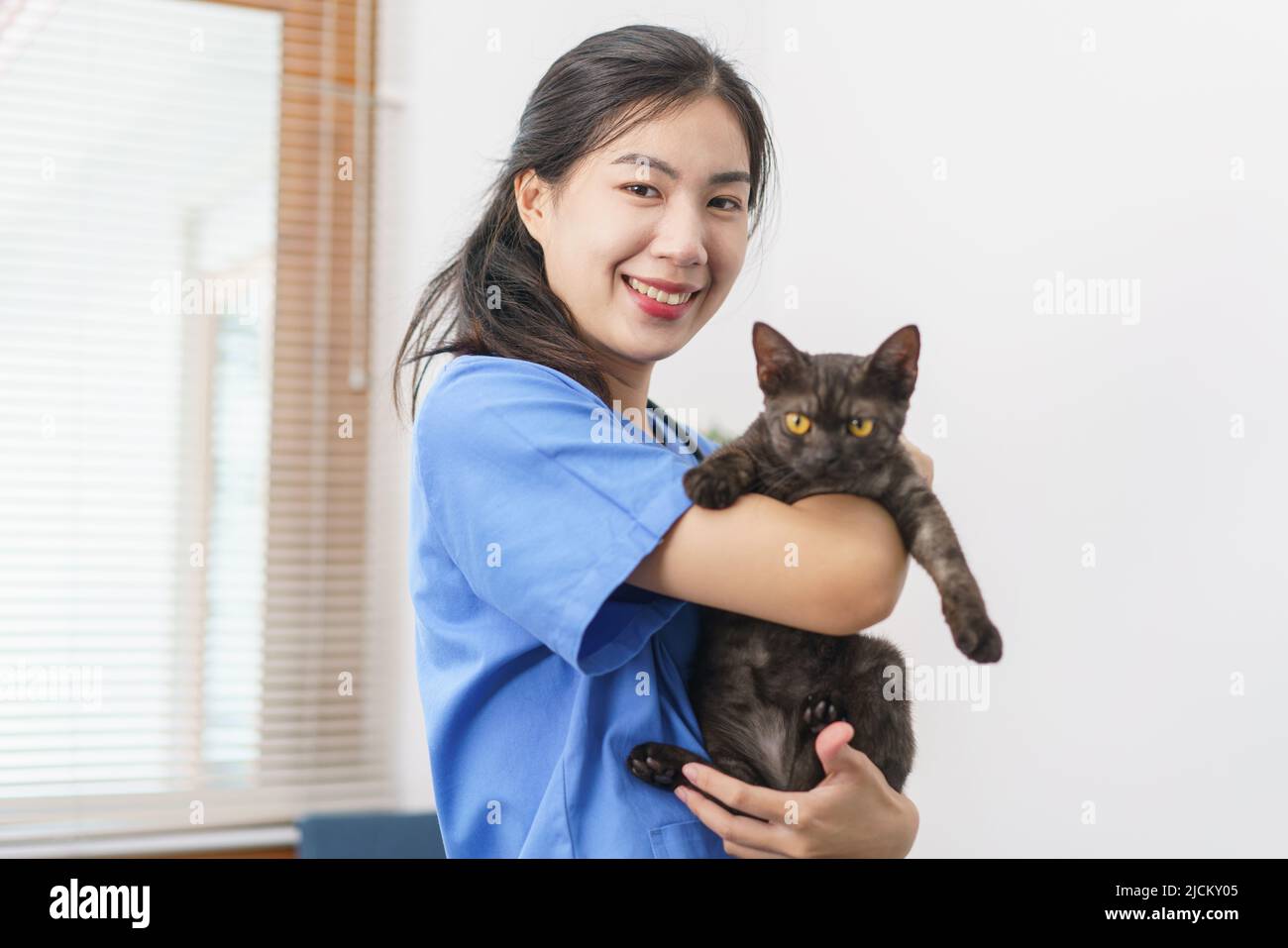 Pet care concept, Female veterinary playing and hugging cute cat after ...