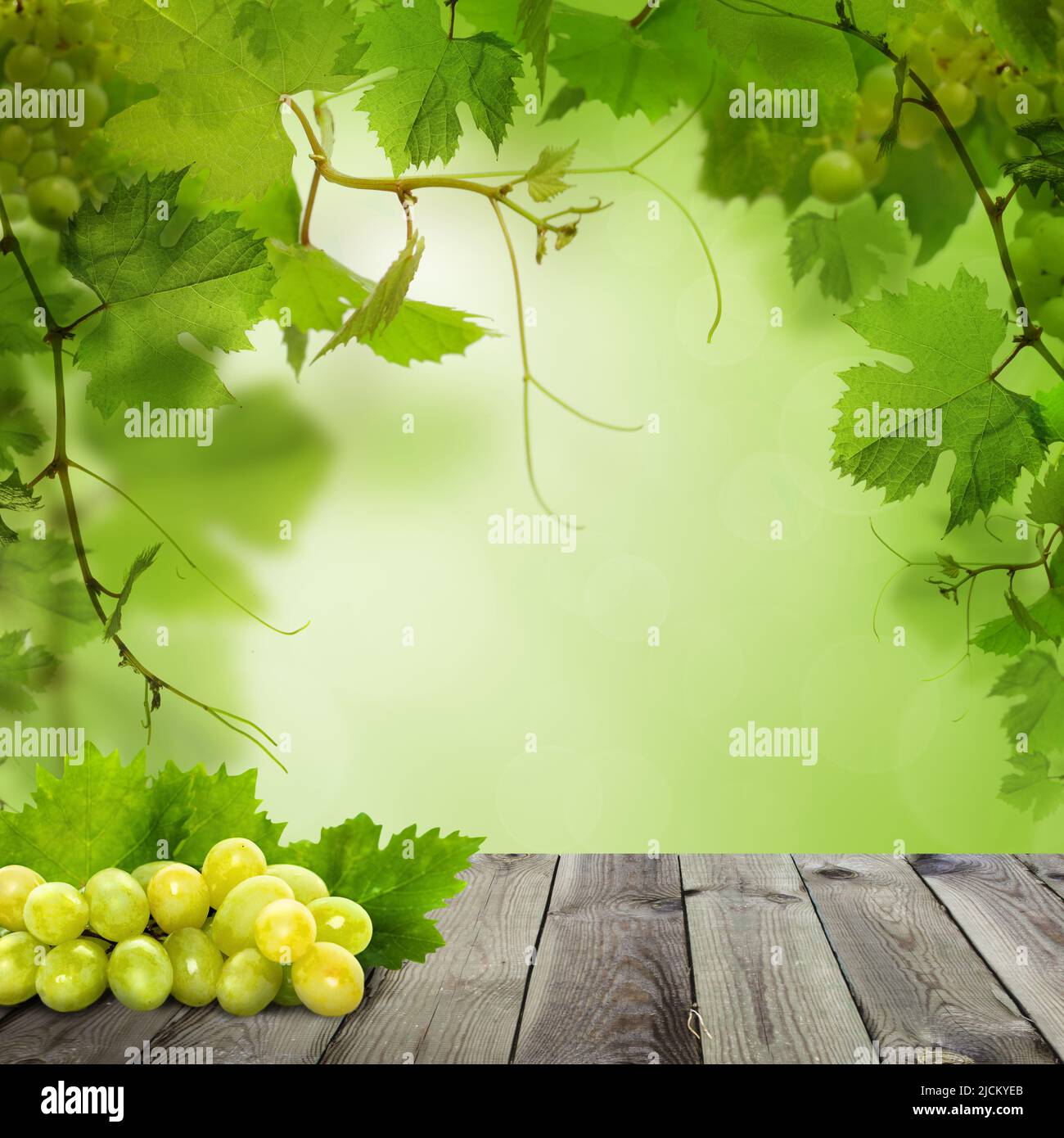 Grape on old gray wooden background and blurred green grape leaves and ...