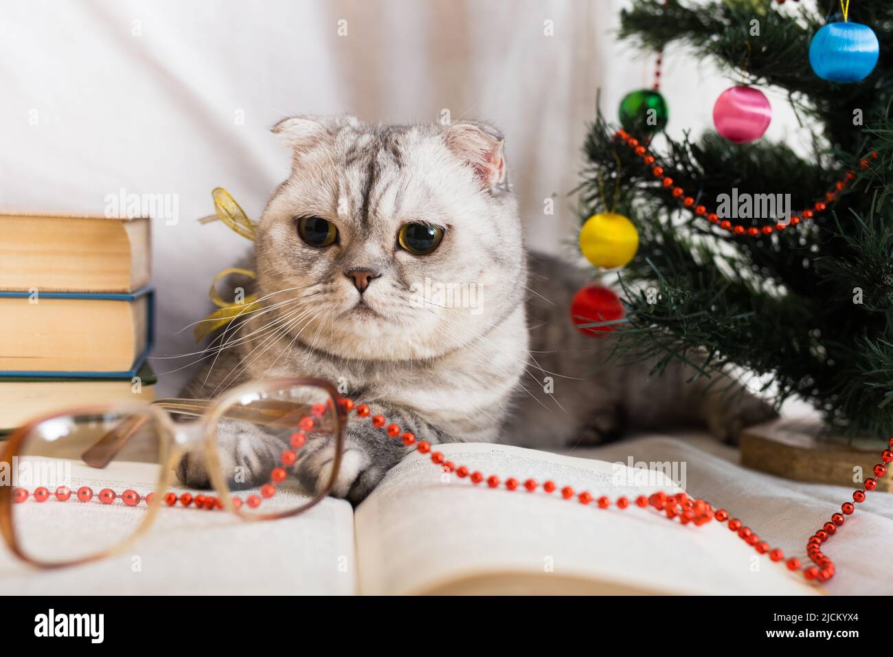 Christmas tree and books hi-res stock photography and images - Alamy