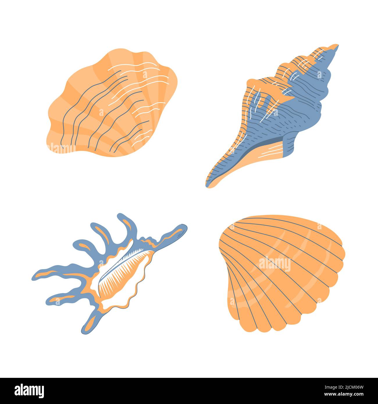 Seashells set. Snail sea shell. Marine underwater twisted seashell ...