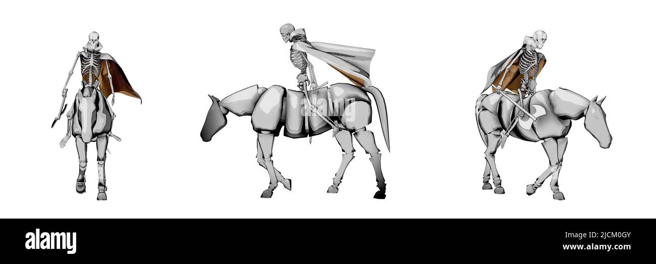 skeleton knight isolated on white background 3d illustration Stock ...
