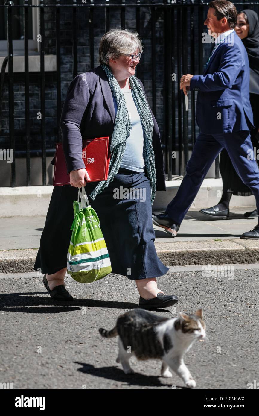 Cat coffey hi-res stock photography and images - Alamy