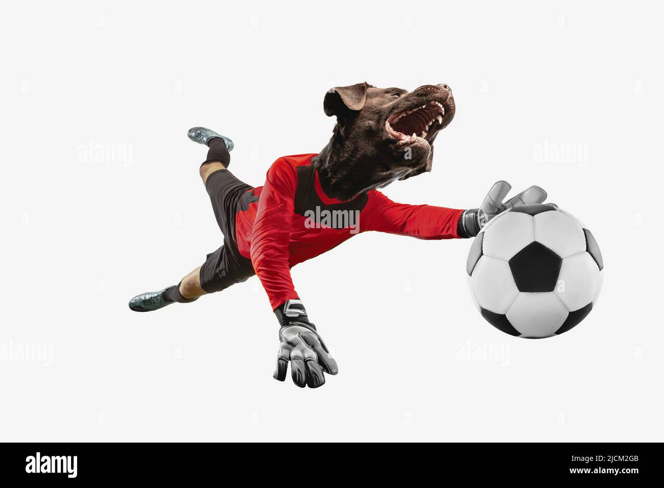 Creative collage with professional football player, goalkeeper headed ...