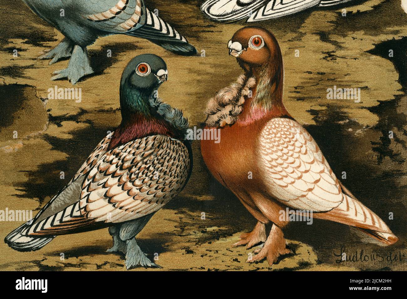 Two blondinettes hi-res stock photography and images - Alamy