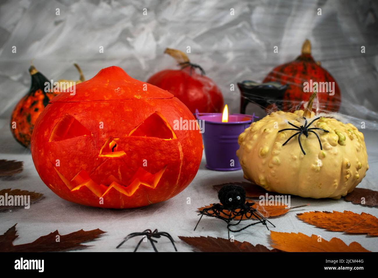 Halloween concept. Halloween pumpkins on a gray wall background with ...