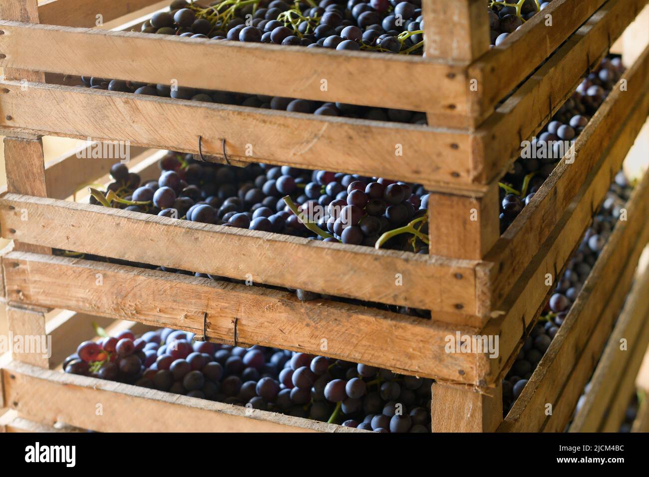 Harvesting box hi-res stock photography and images - Alamy