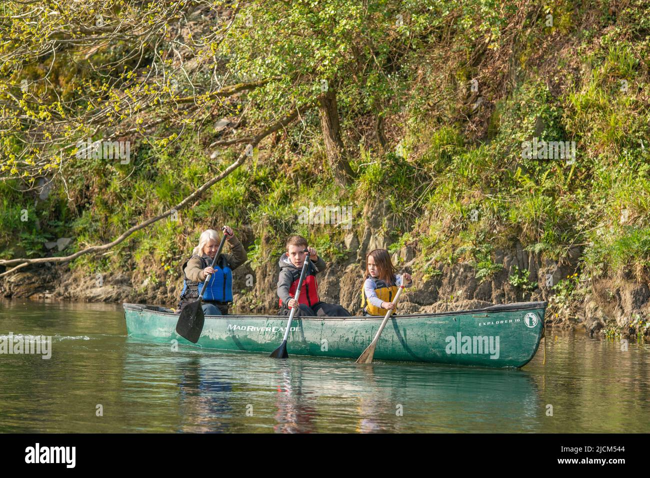 Group Canadian canoing in the Teifi Gorge, Wales, UK Stock Photo - Alamy