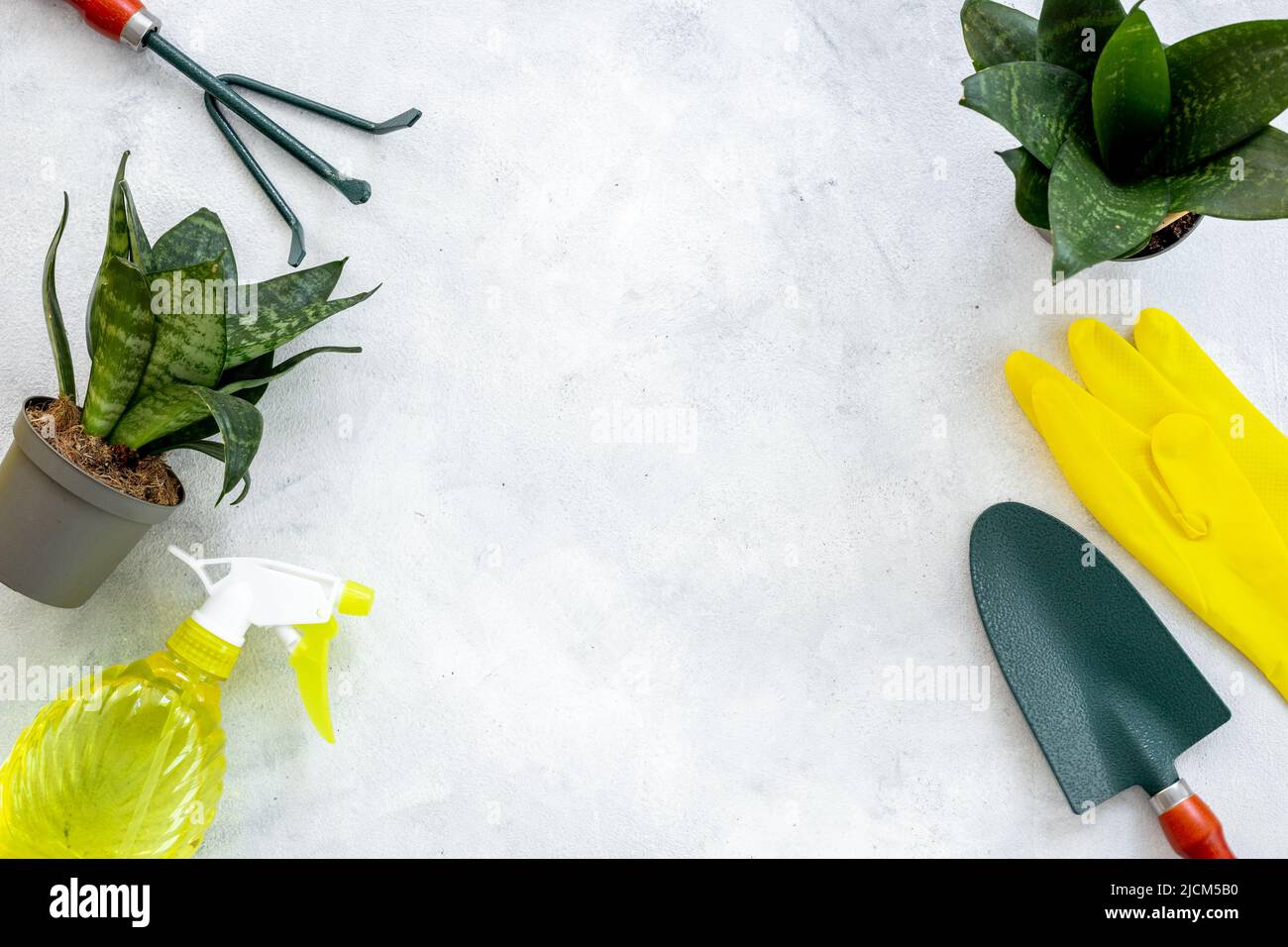 Gardening layout for summer season. Green plant with tools set for ...