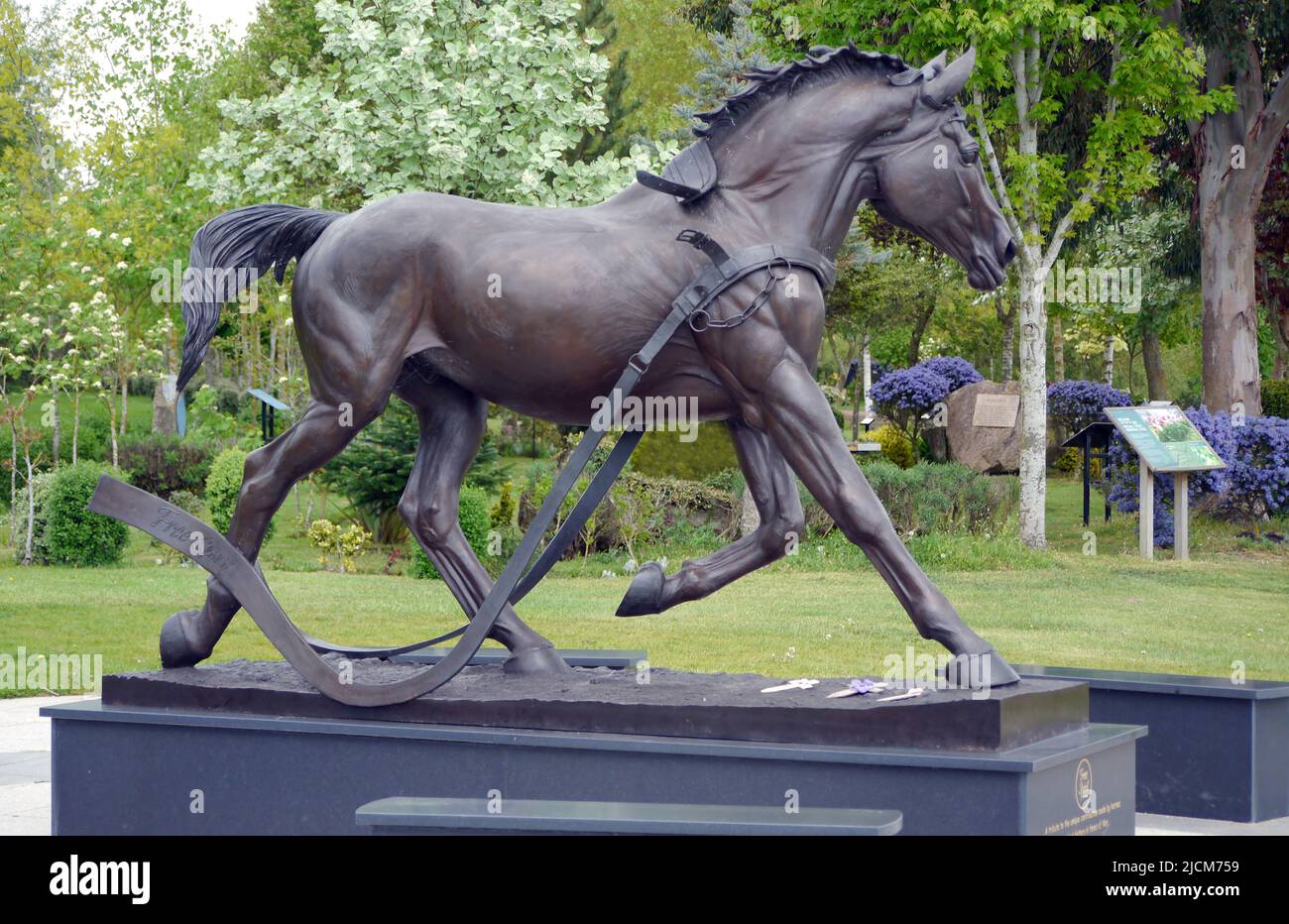 Bronze Statue War Horse 'Free Spirit' Memorial at the National Memorial ...