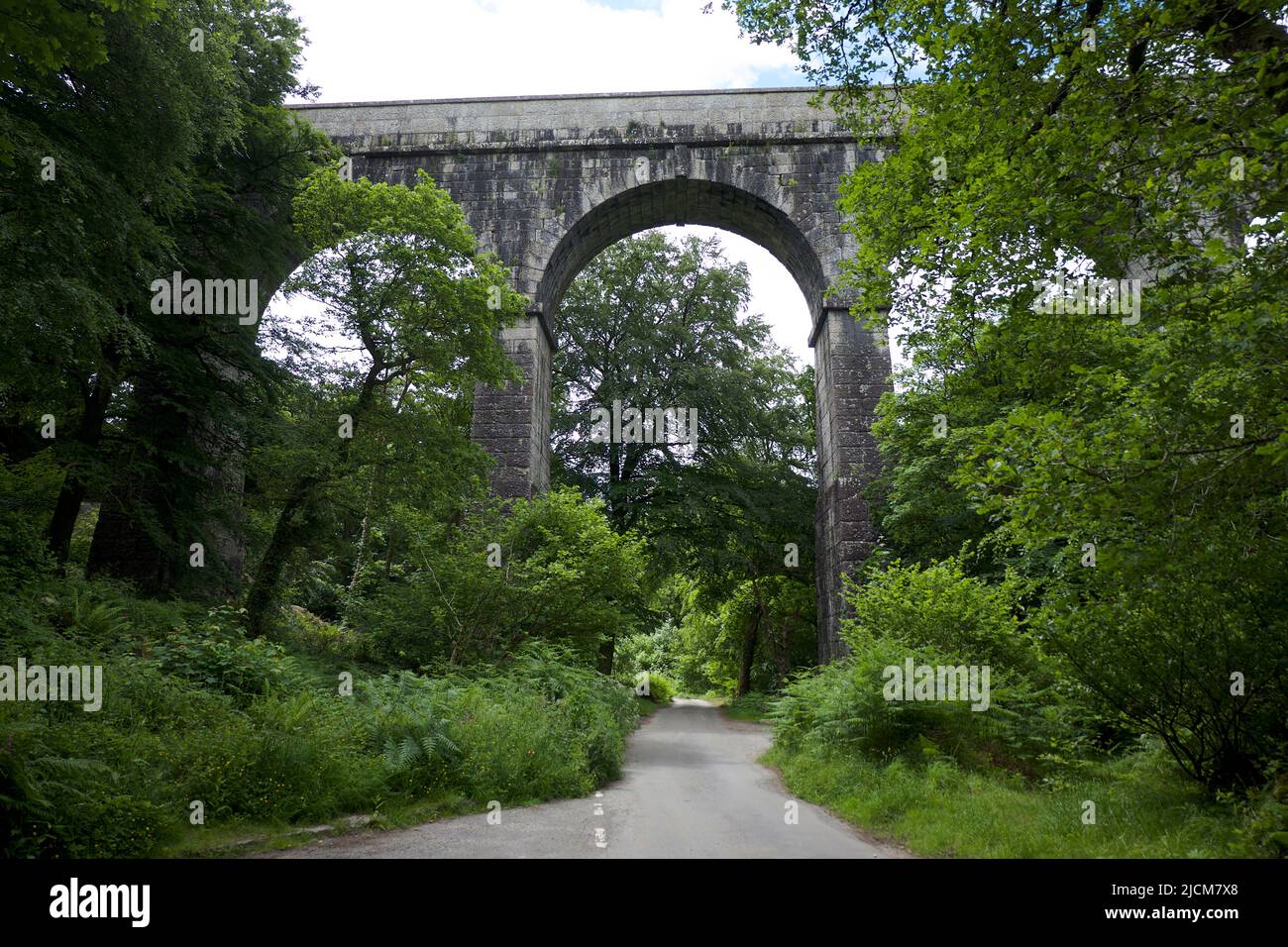 Treffry Viaduct 19th century industrial remains and World Heritage Site ...