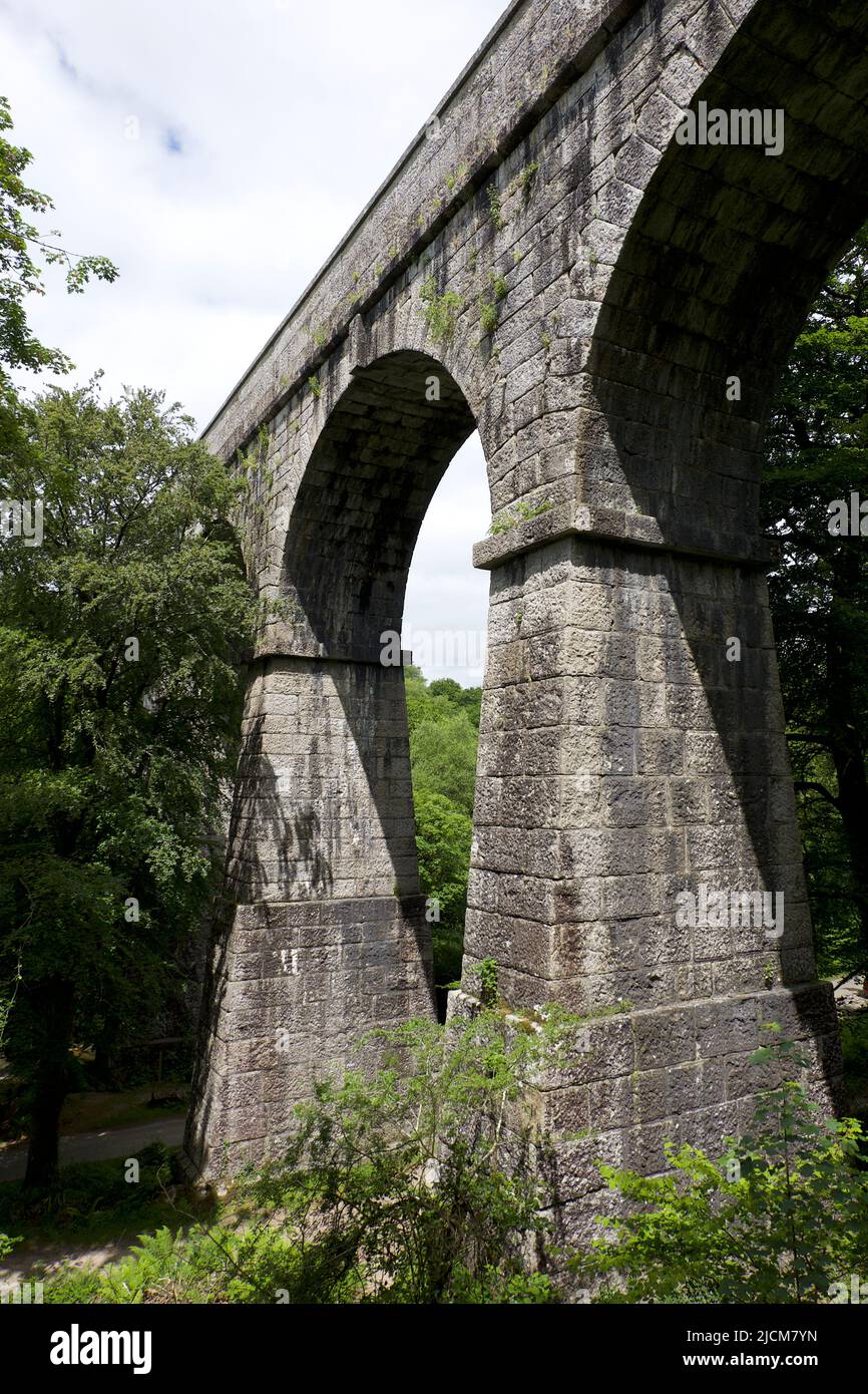 Treffry Viaduct 19th century industrial remains and World Heritage Site ...