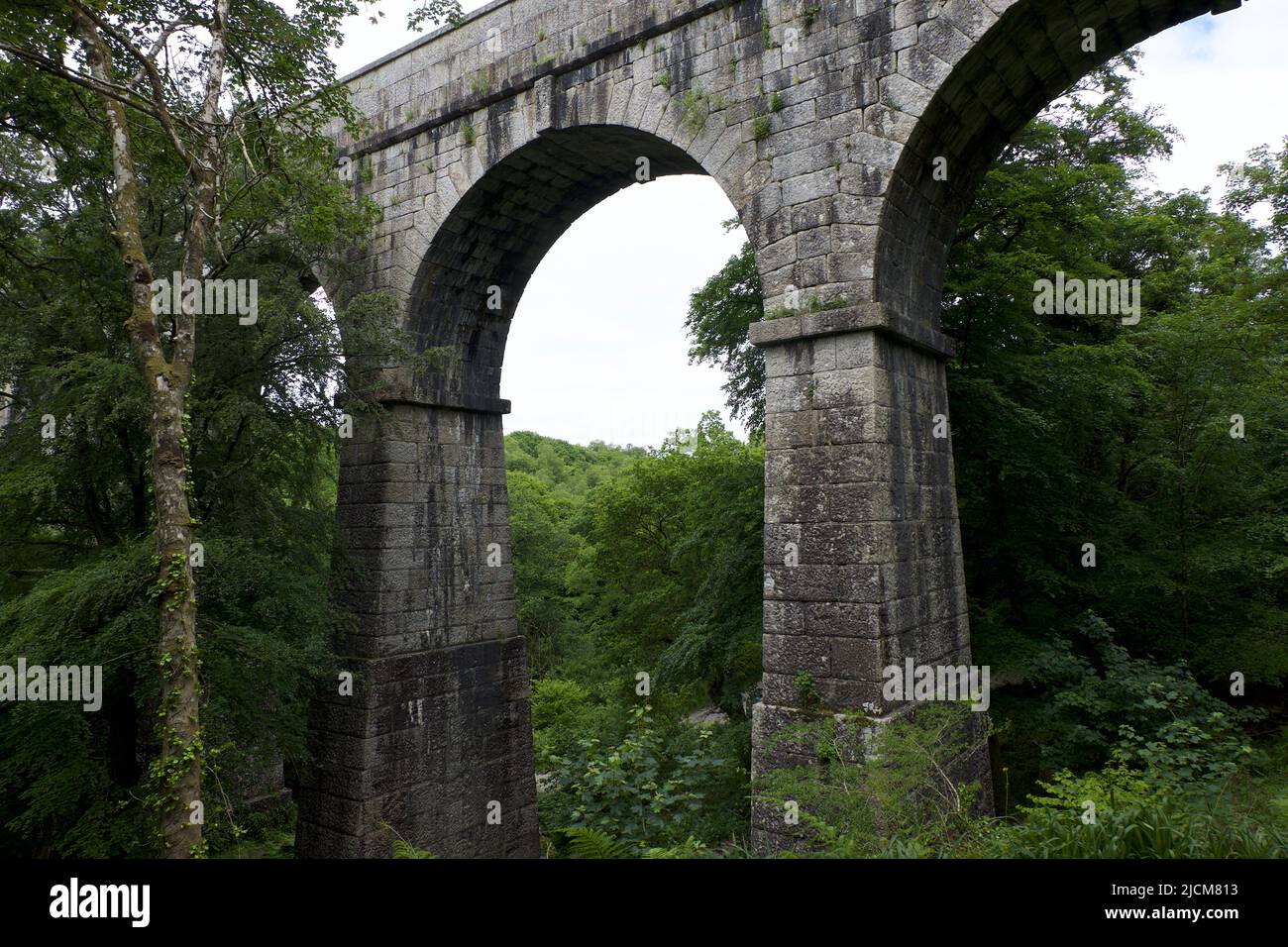 Treffry Viaduct 19th century industrial remains and World Heritage Site ...