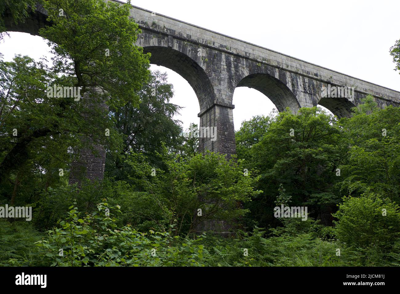 Old treffry viaduct hi-res stock photography and images - Alamy