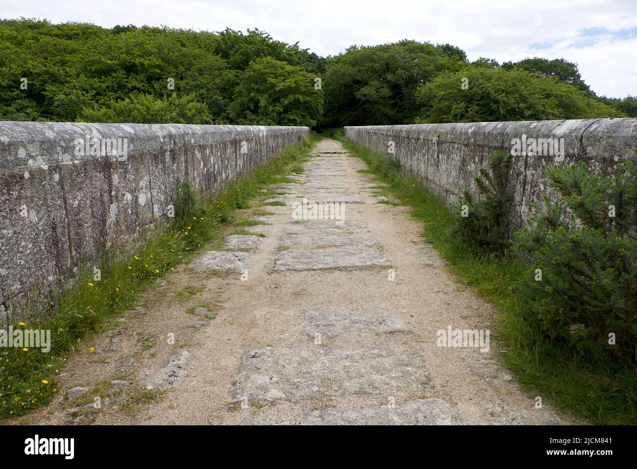 Treffry Viaduct 19th century industrial remains and World Heritage Site ...