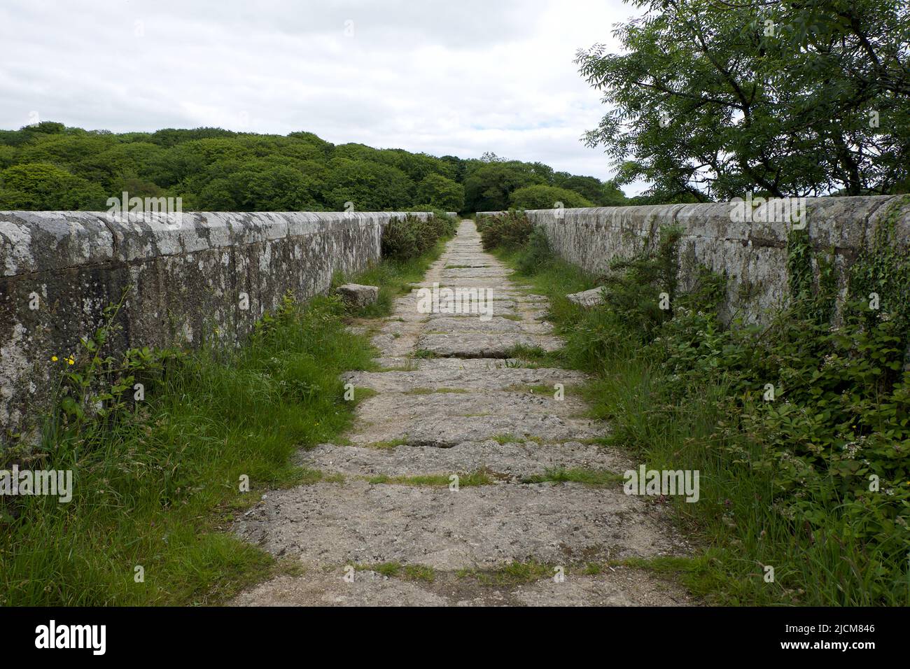 Treffry Viaduct 19th century industrial remains and World Heritage Site ...