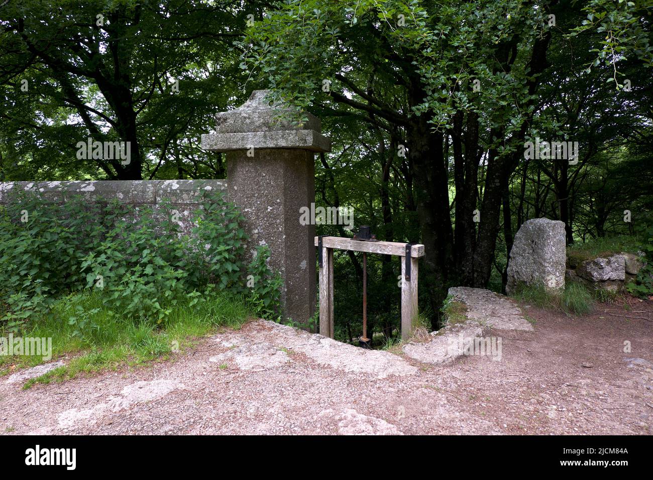 Treffry Viaduct 19th century industrial remains and World Heritage Site ...