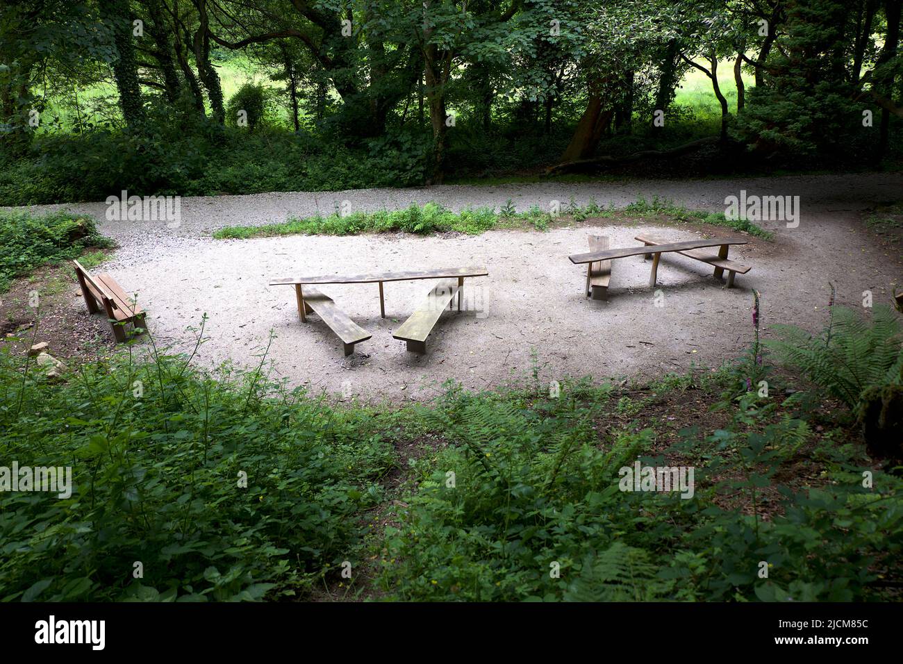 Treffry Viaduct 19th century industrial remains and World Heritage Site ...