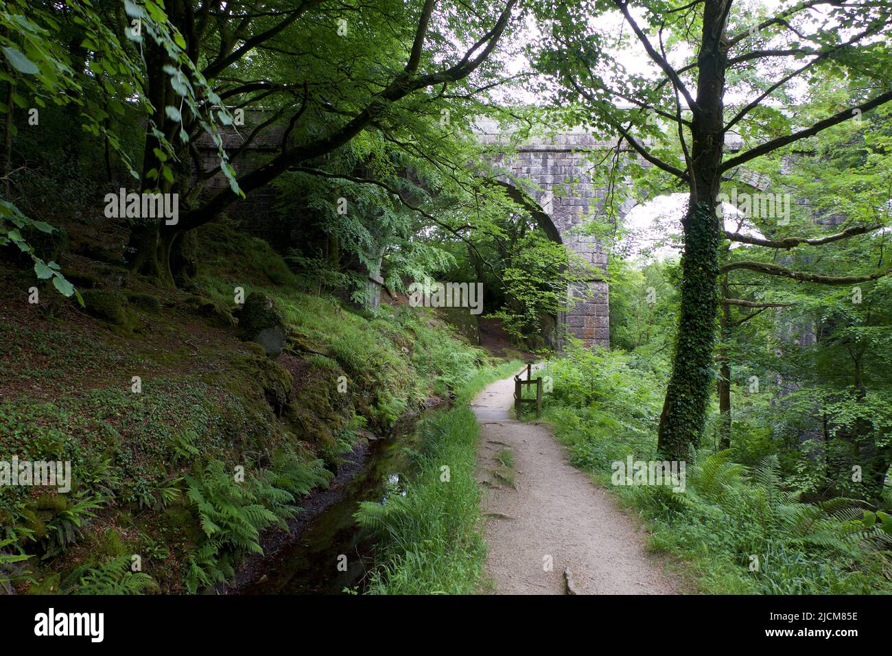 Treffry Viaduct 19th century industrial remains and World Heritage Site ...
