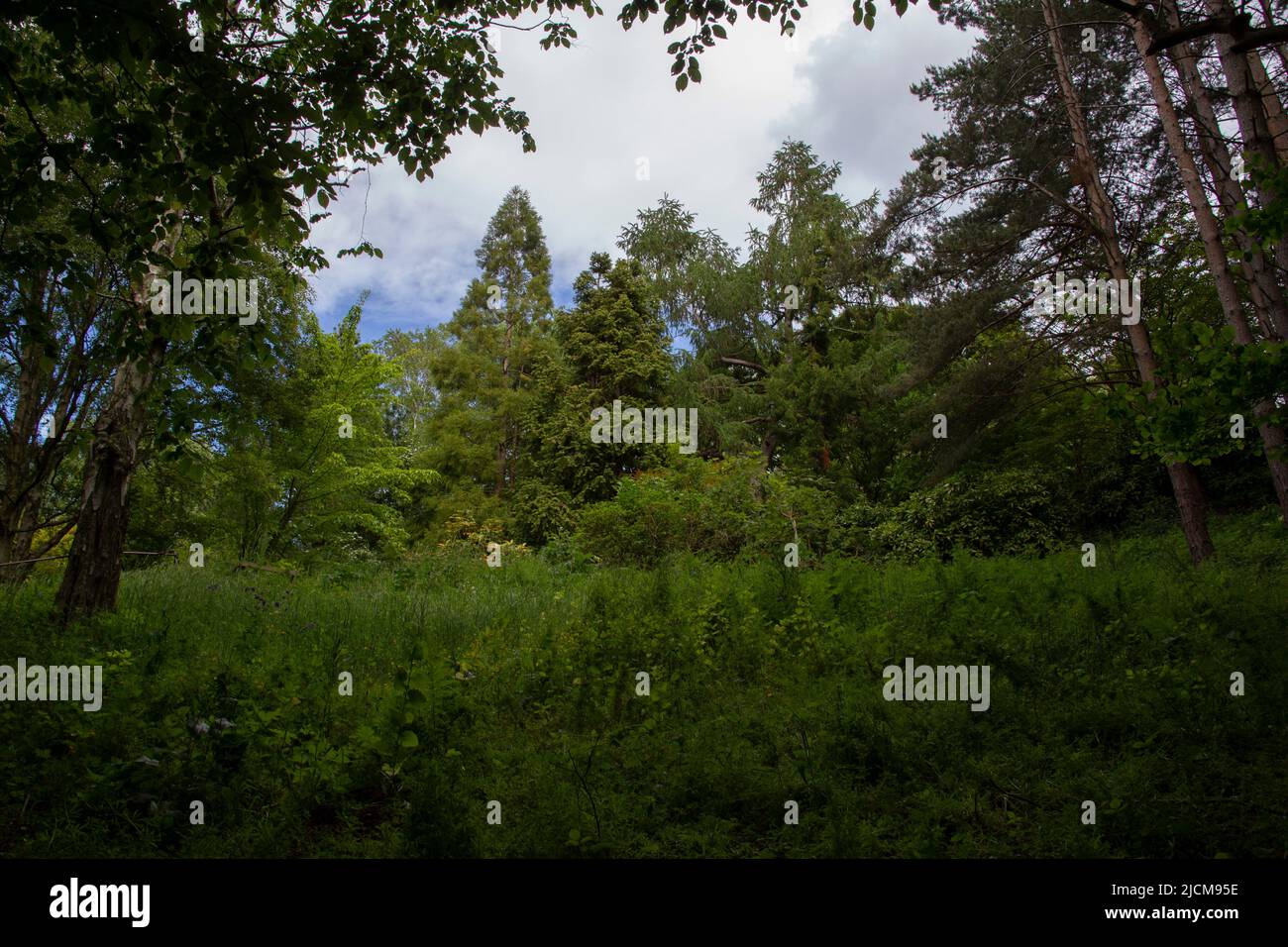 English countryside near Durham, England UK Stock Photo - Alamy