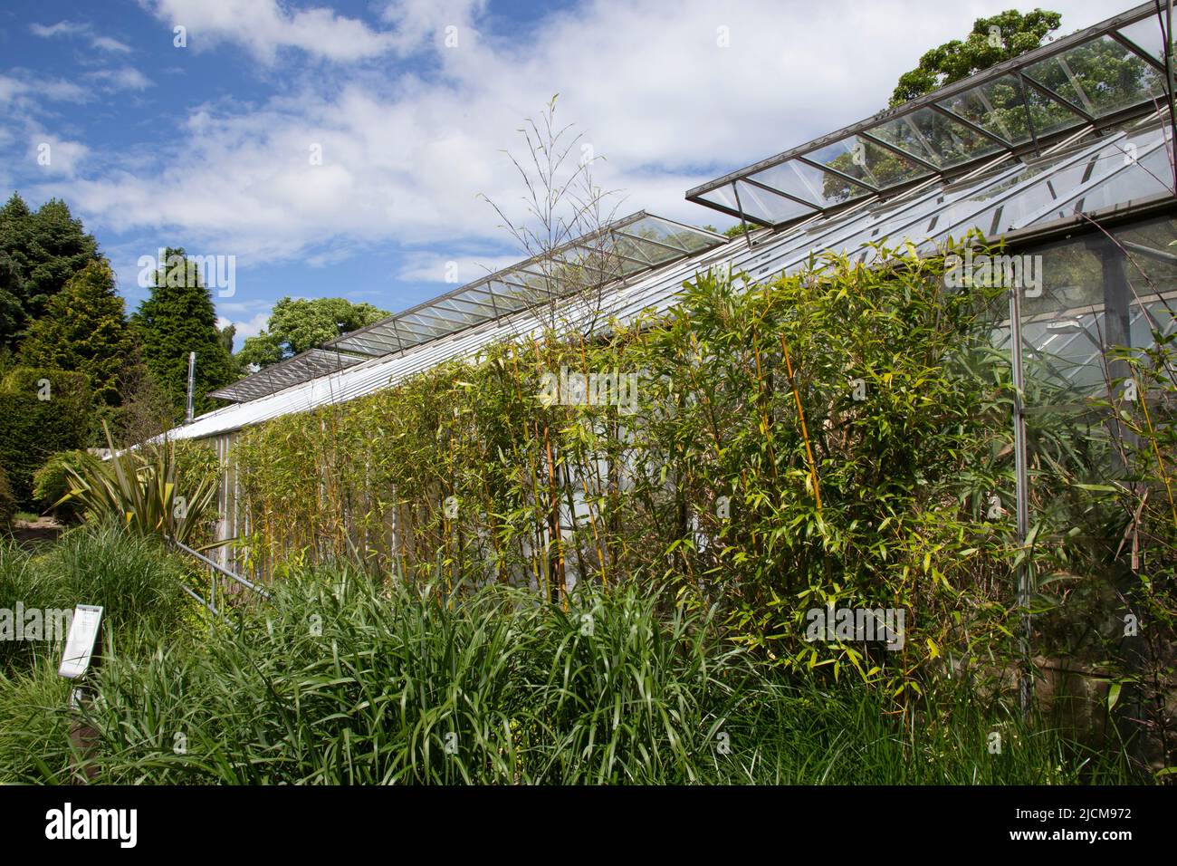 The greenhouse and formal garden at the Durham University Botanic ...
