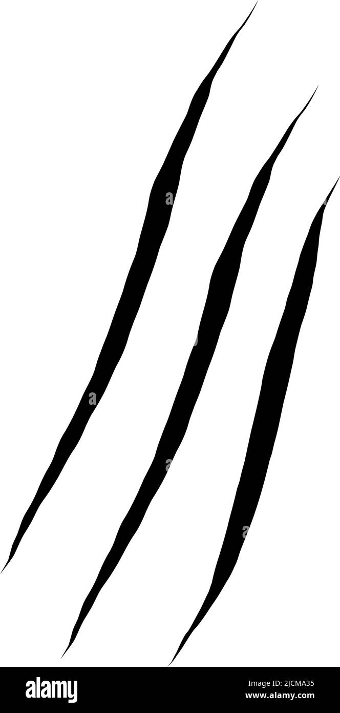 Cat scratches. Black claws animal scratch, Torn paper. Cat claws trace ...