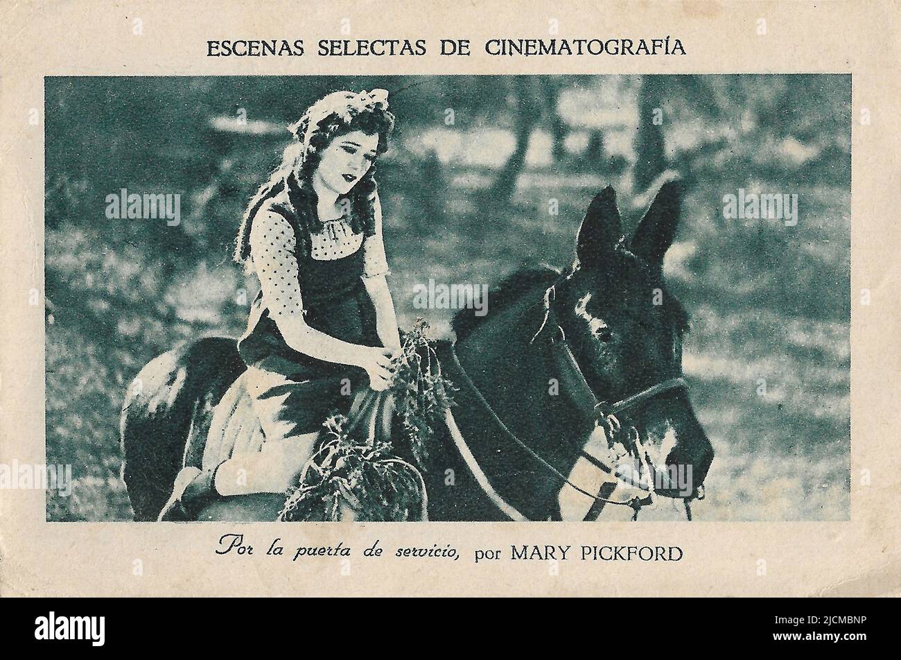 Portrait of Mary Pickford in Through the Back Door - Silent Hollywood ...