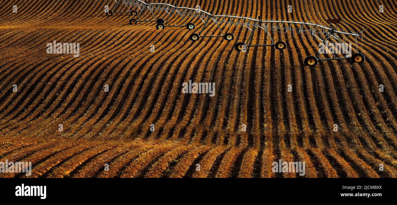 Pivot irrigation water line equipment on rich furrowed farm ground ...