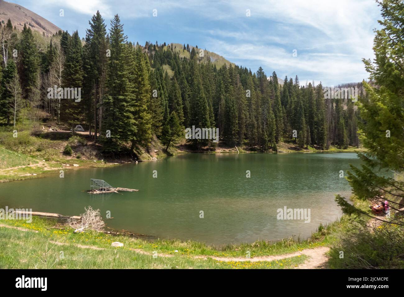 Moab in Utah: Warner Lake in the La Sal Mountains Stock Photo - Alamy