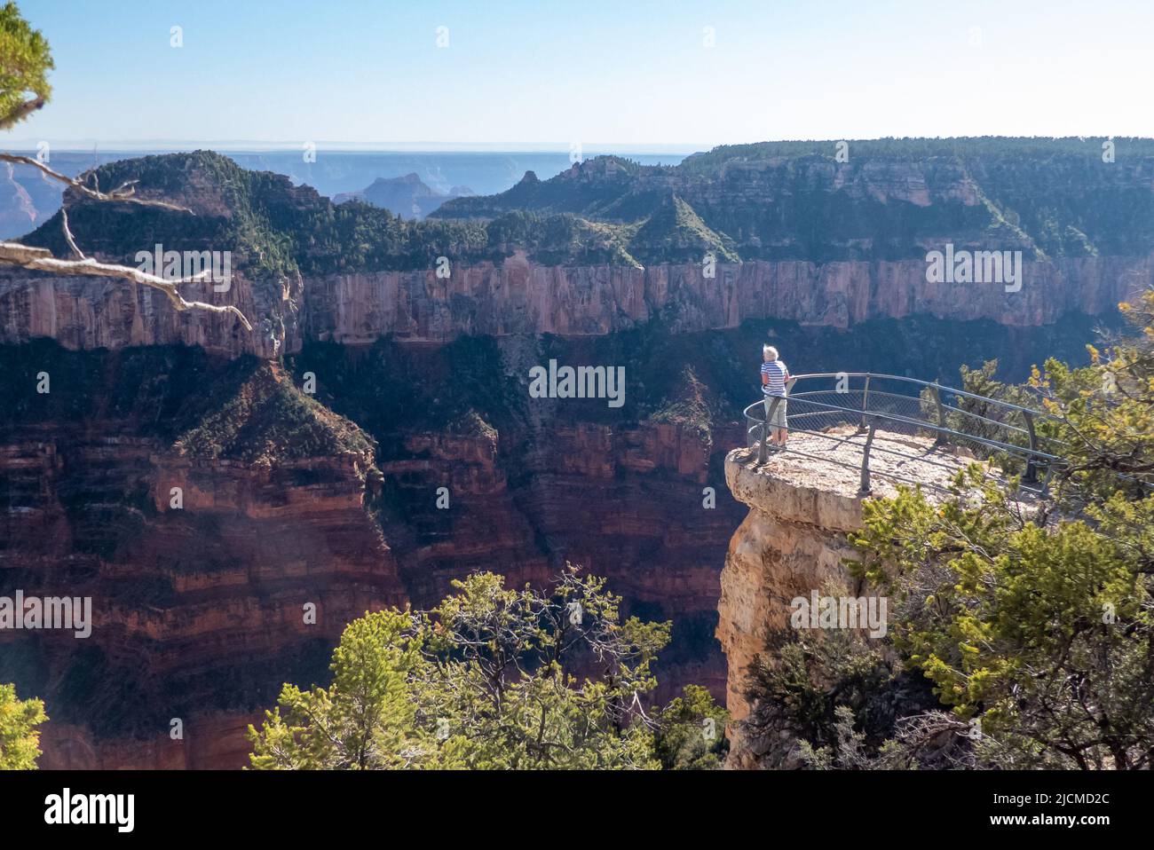 The Grand Canyon: the overlook near the North Rim Lodge Stock Photo - Alamy