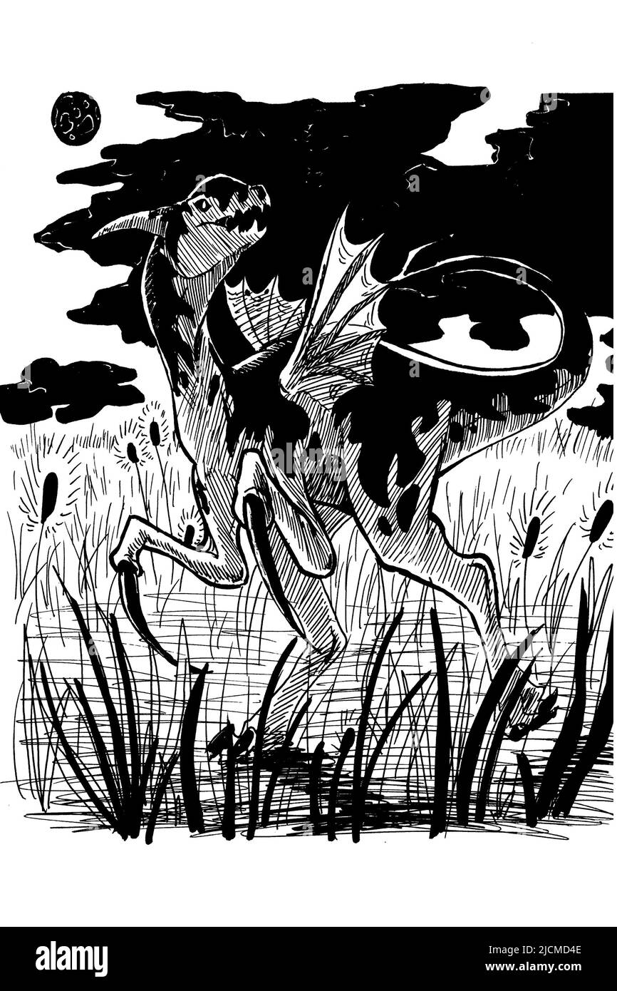 Black and white ink illustration of a strange alien creature Stock ...
