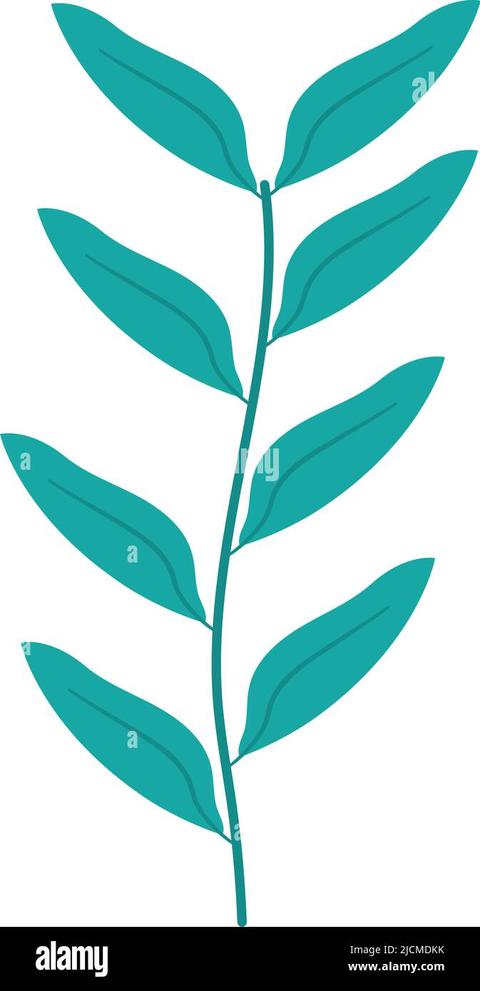 plant branch design Stock Vector Image & Art - Alamy