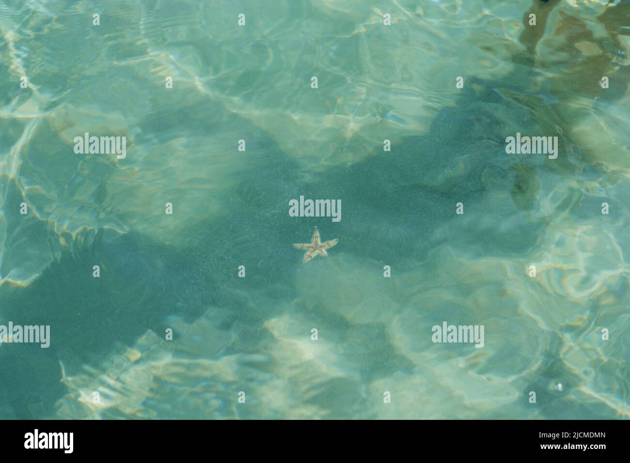 Abstract Real beauty nature background. Ocean bokeh Sea ripple wave ...