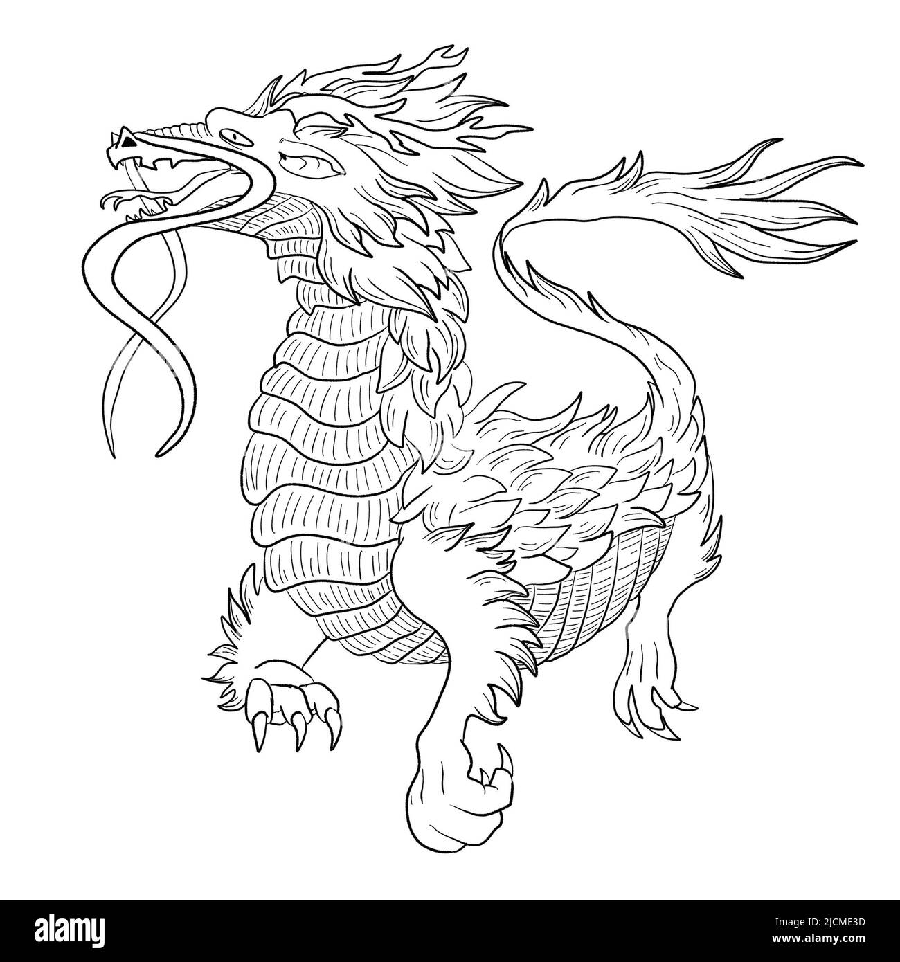 Black and white coloring page ink illustration of a dragon Stock Photo ...