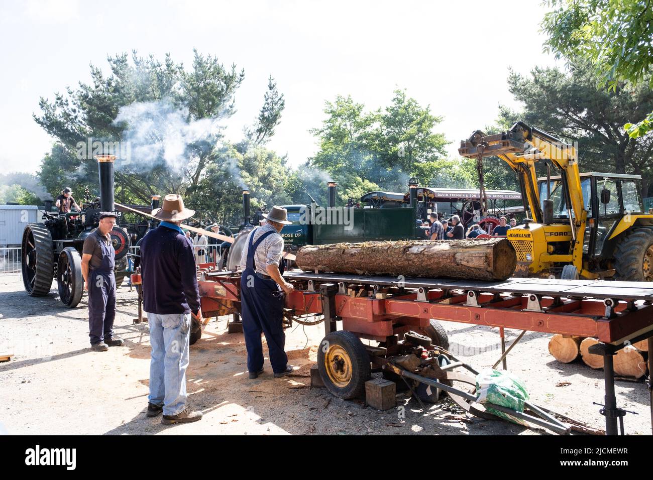 Exhibition of creating wooden planks from whole trees. Working together ...