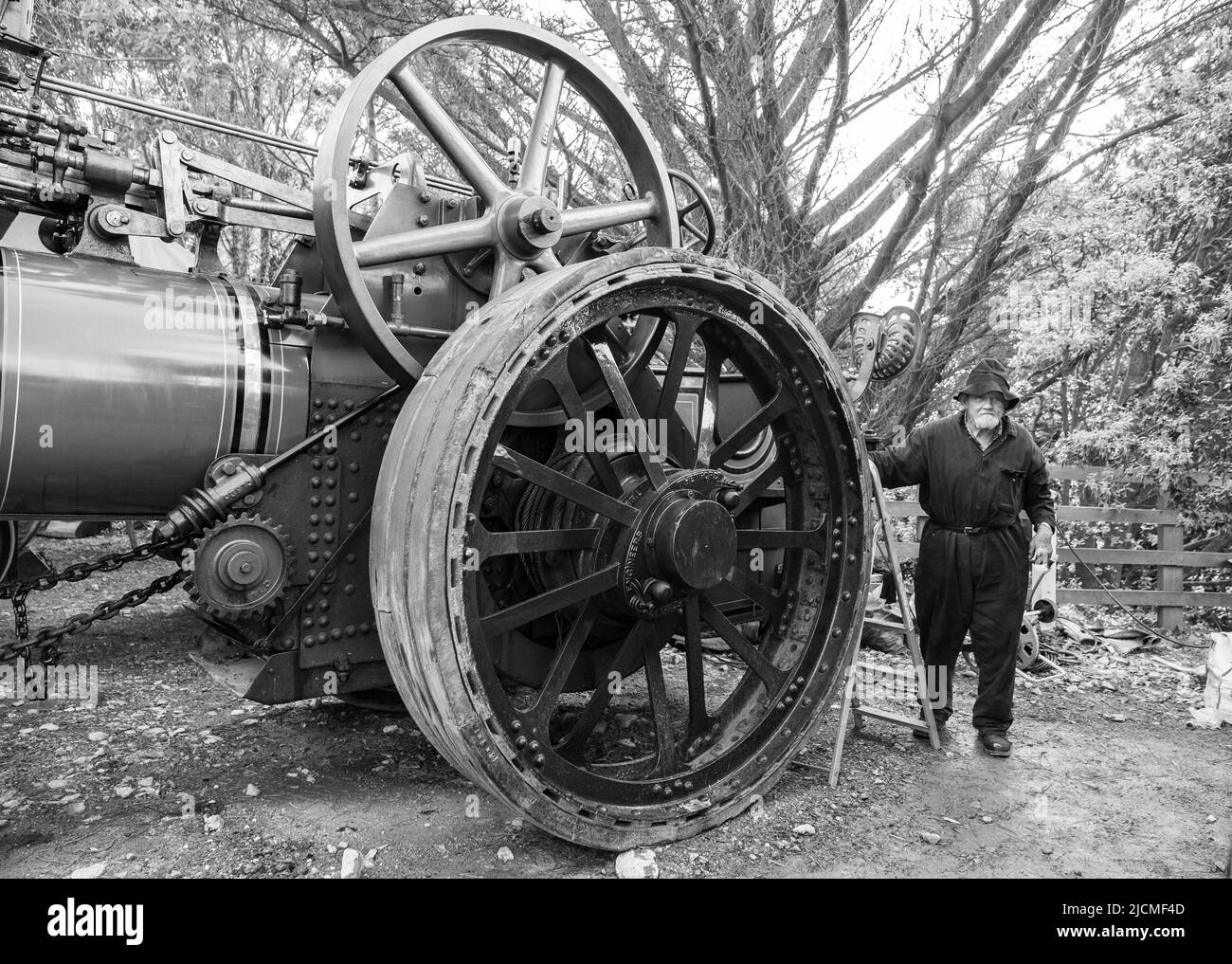 Vintage steam traction engines in a display at the Royal Cornwall Show ...