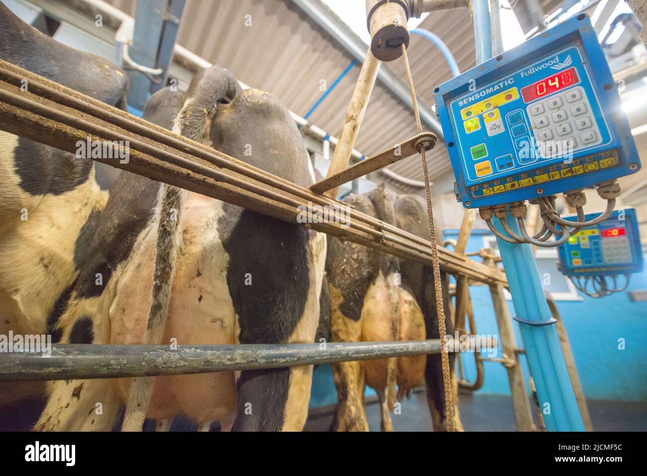 Milking device hi-res stock photography and images - Alamy